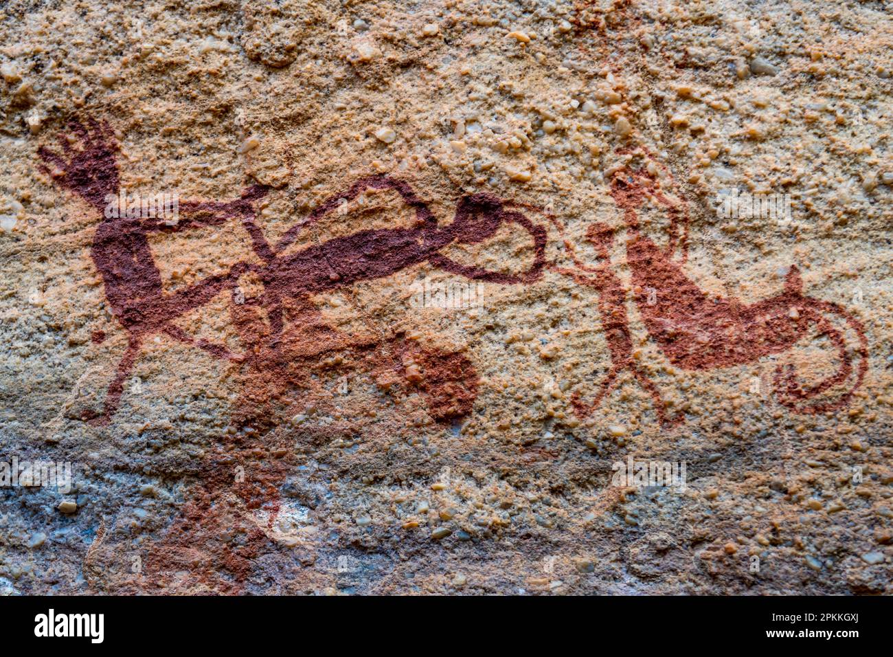 Rock art painting at Pedra Furada, Serra da Capivara National Park ...