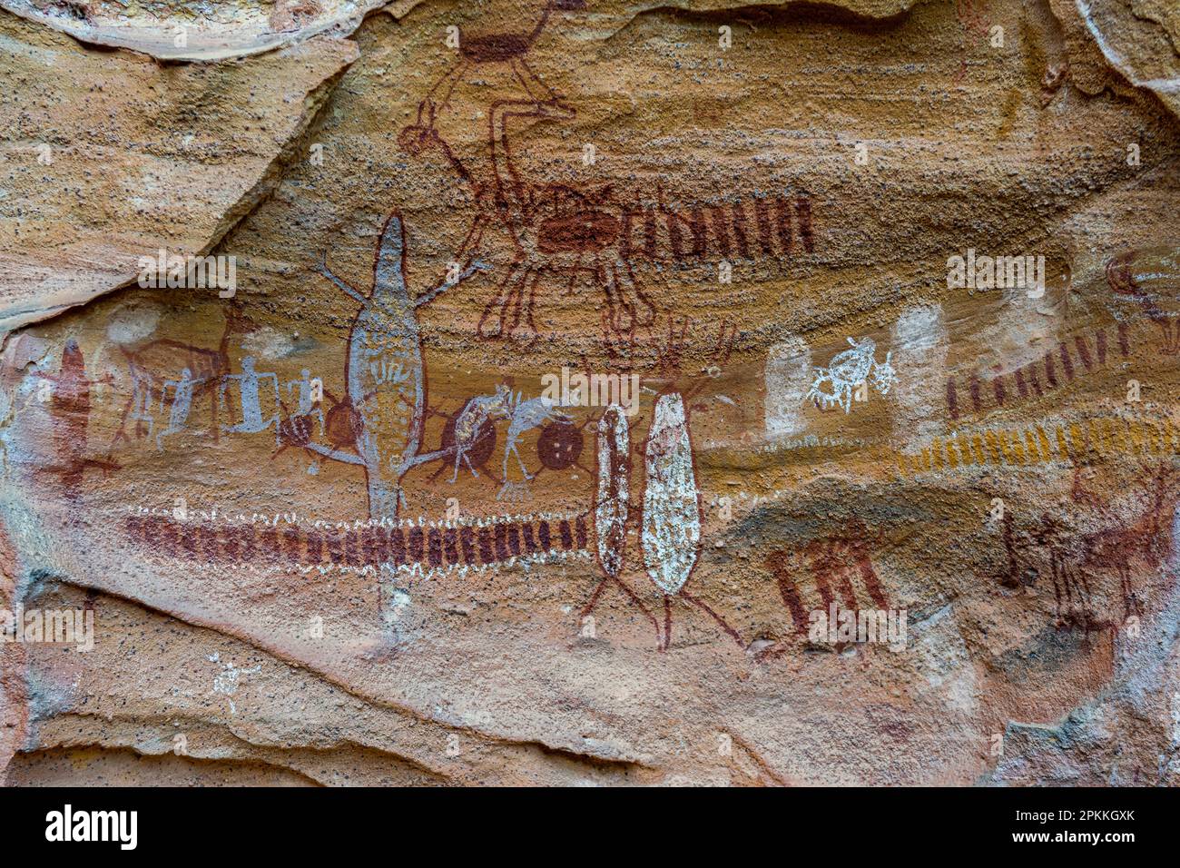 Rock art painting at Pedra Furada, Serra da Capivara National Park ...