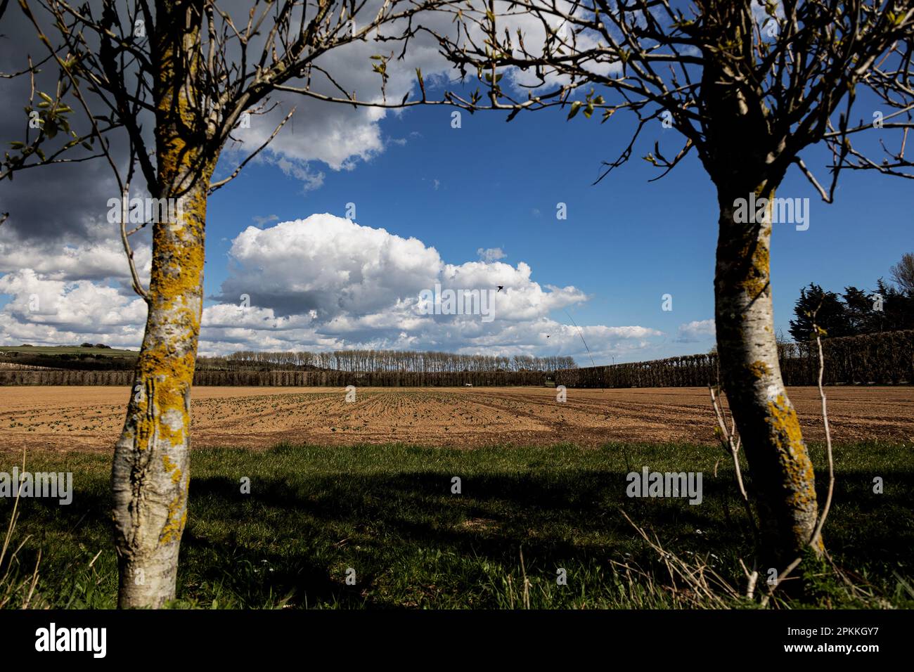 Sussex farming hi-res stock photography and images - Alamy