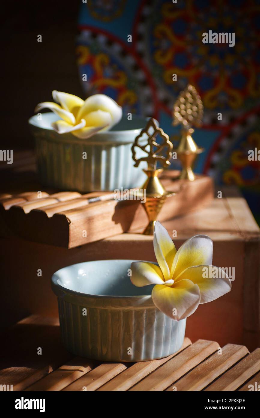 Kath golap flower hi-res stock photography and images - Alamy