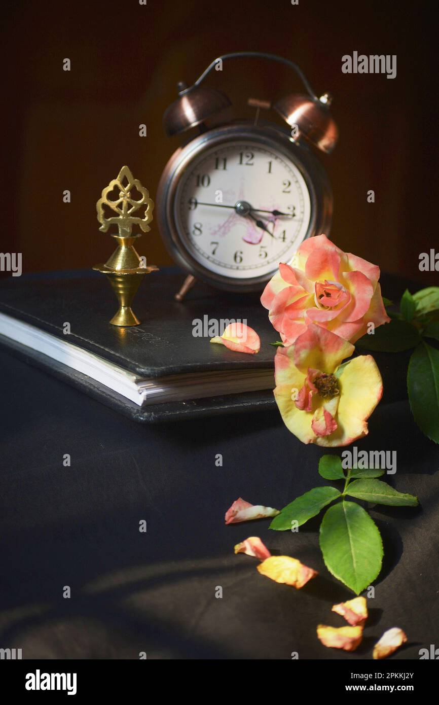 Flower photography,still life Stock Photo - Alamy