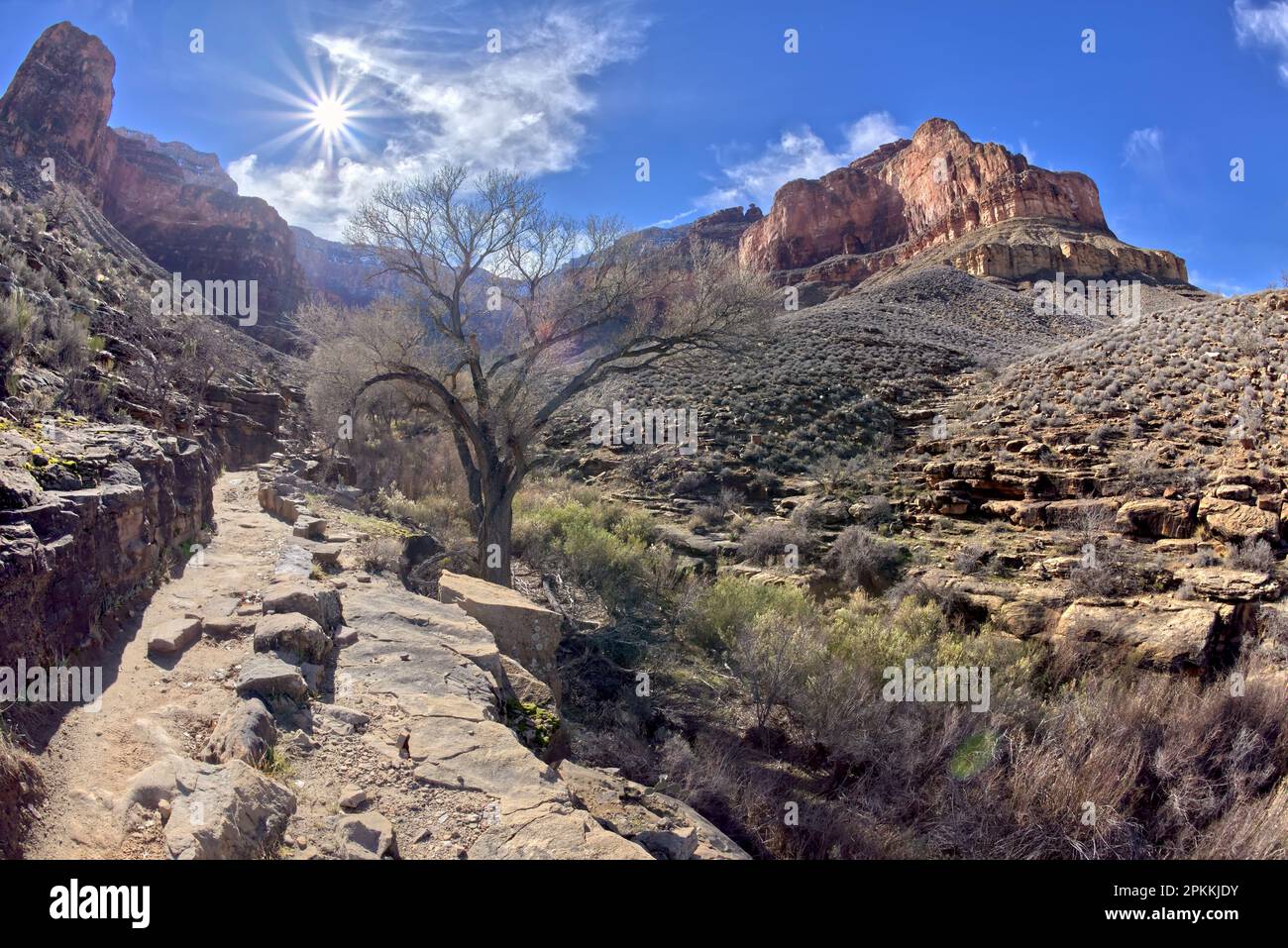 The cliffs of Bright Angel Canyon at Grand Canyon viewed from the start ...