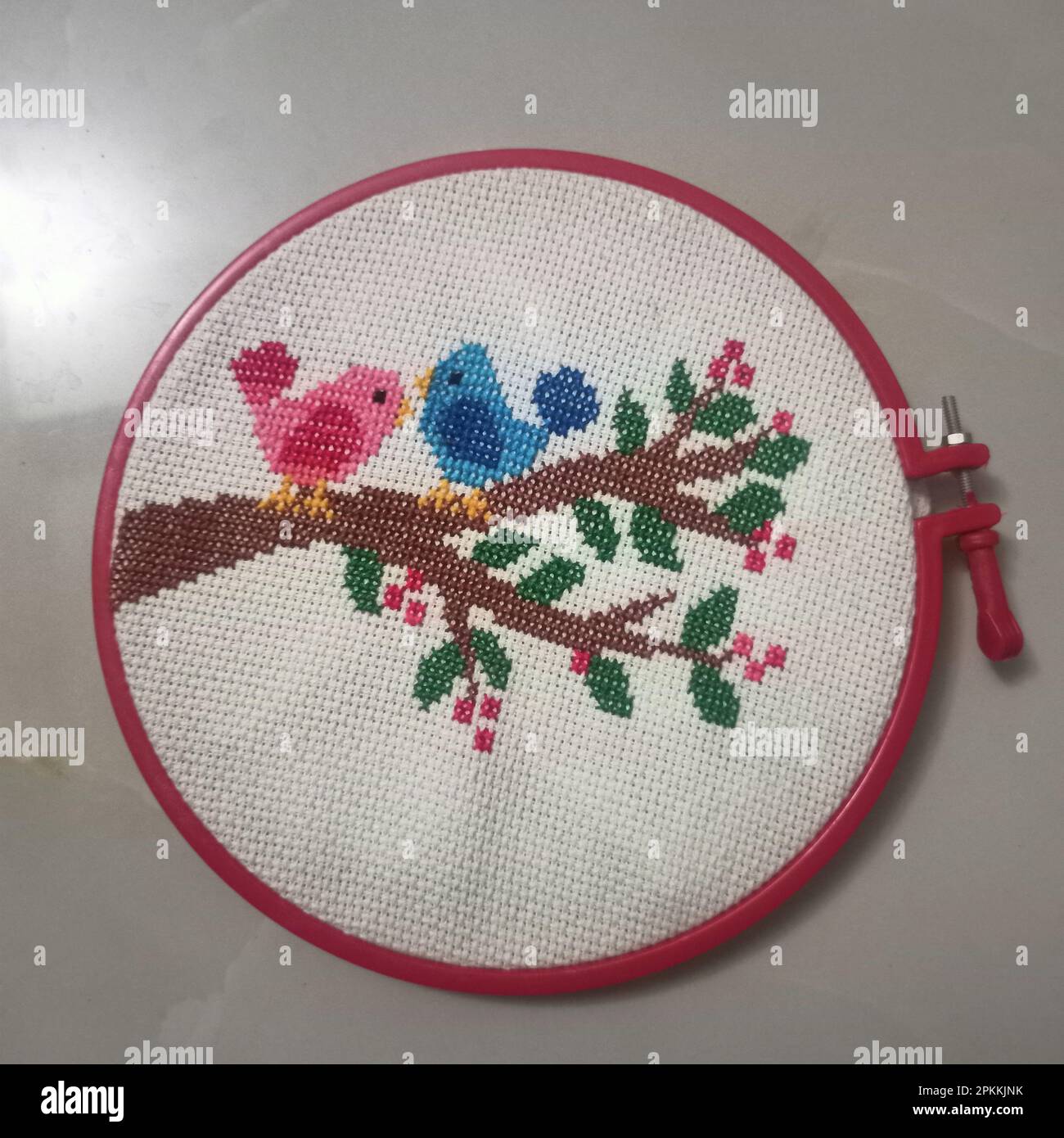 Hoop art photography,bird Stock Photo - Alamy