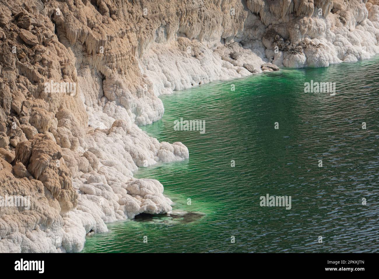 Salt scales out of the emerald water of the Dead Sea, Jordan, Middle ...