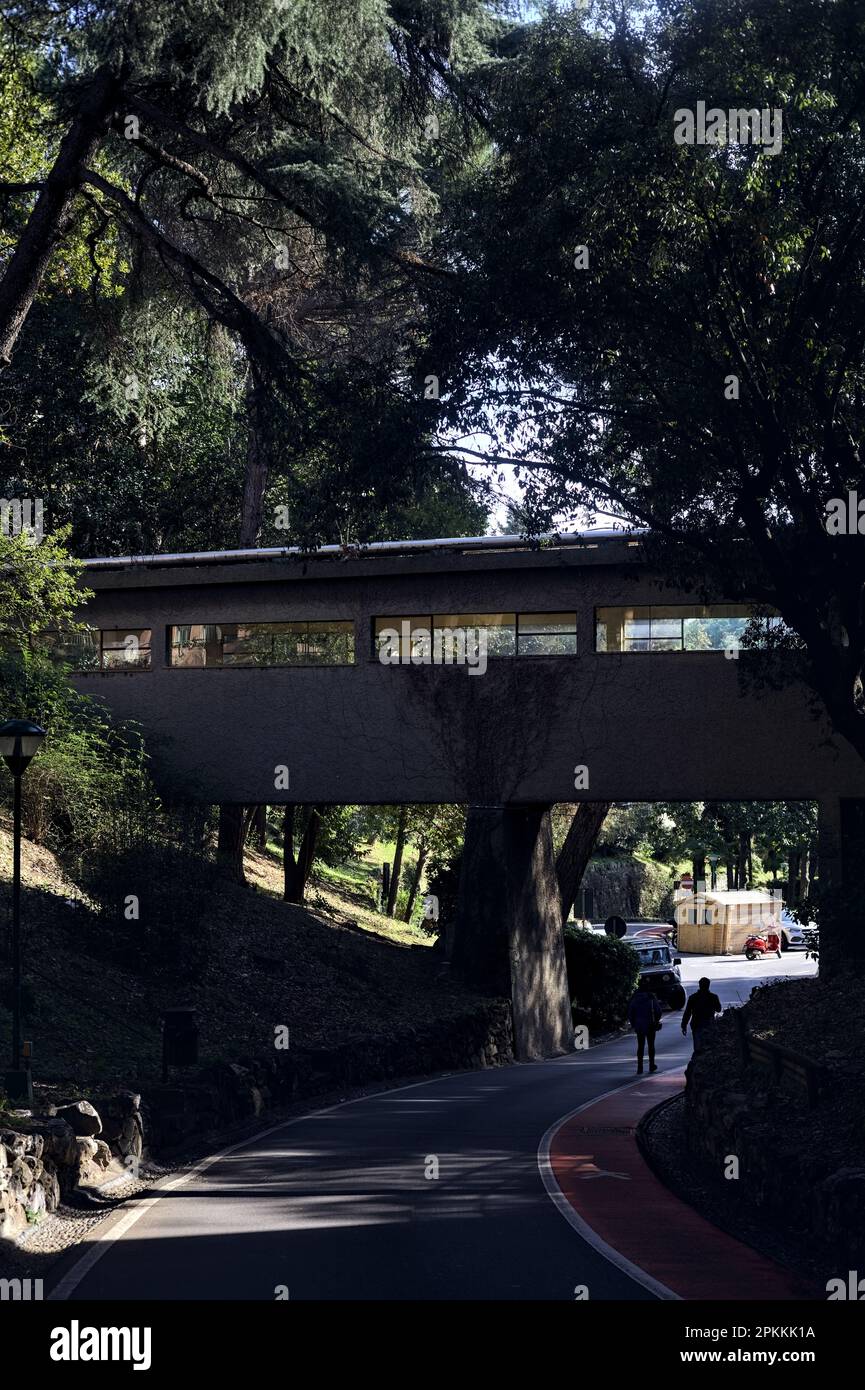 Paved path in a park with a covered bridge above it Stock Photo - Alamy