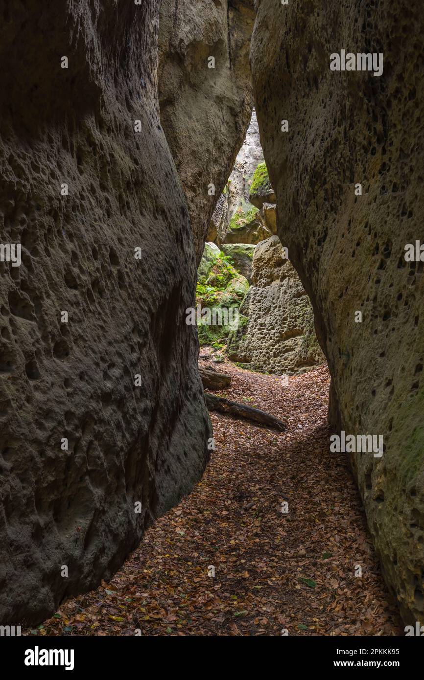 Rock maze, Mseno, Kokorinsko Protected Landscape Area, Central Bohemia ...