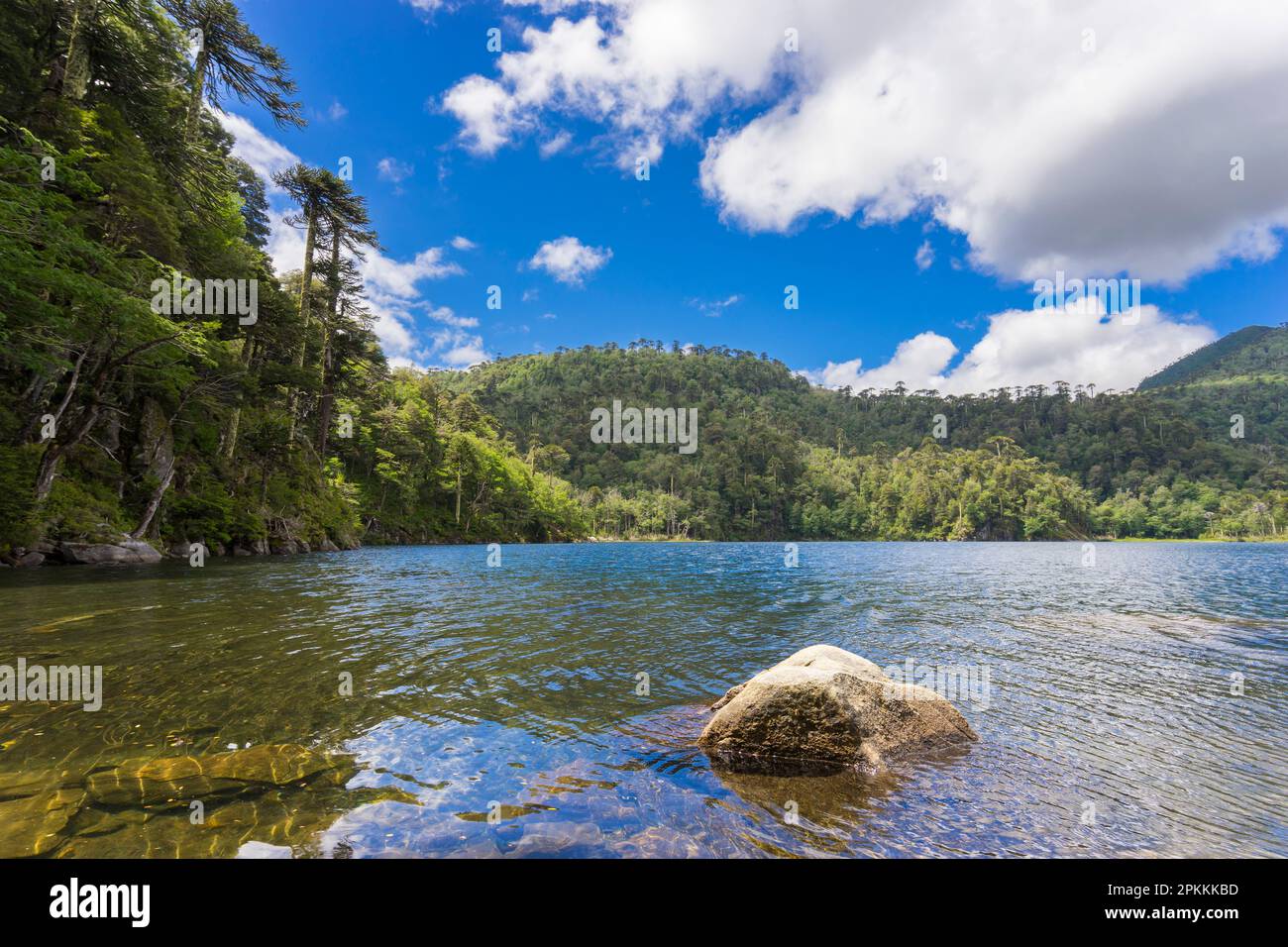 Pucon chile national park hi-res stock photography and images - Alamy