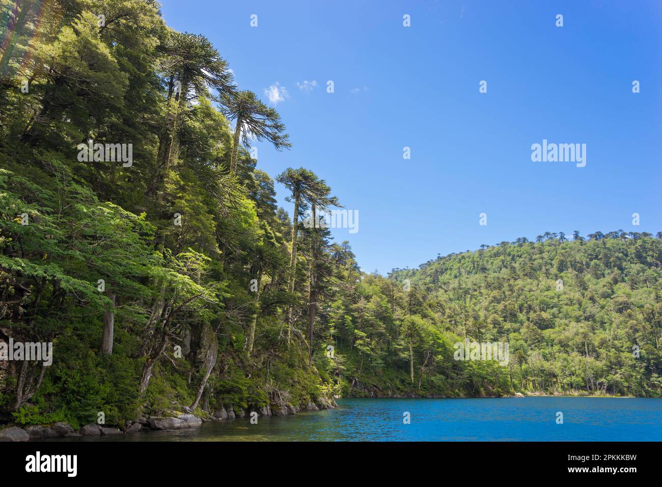El Toro Lake, Huerquehue National Park, Pucon, Chile, South America ...