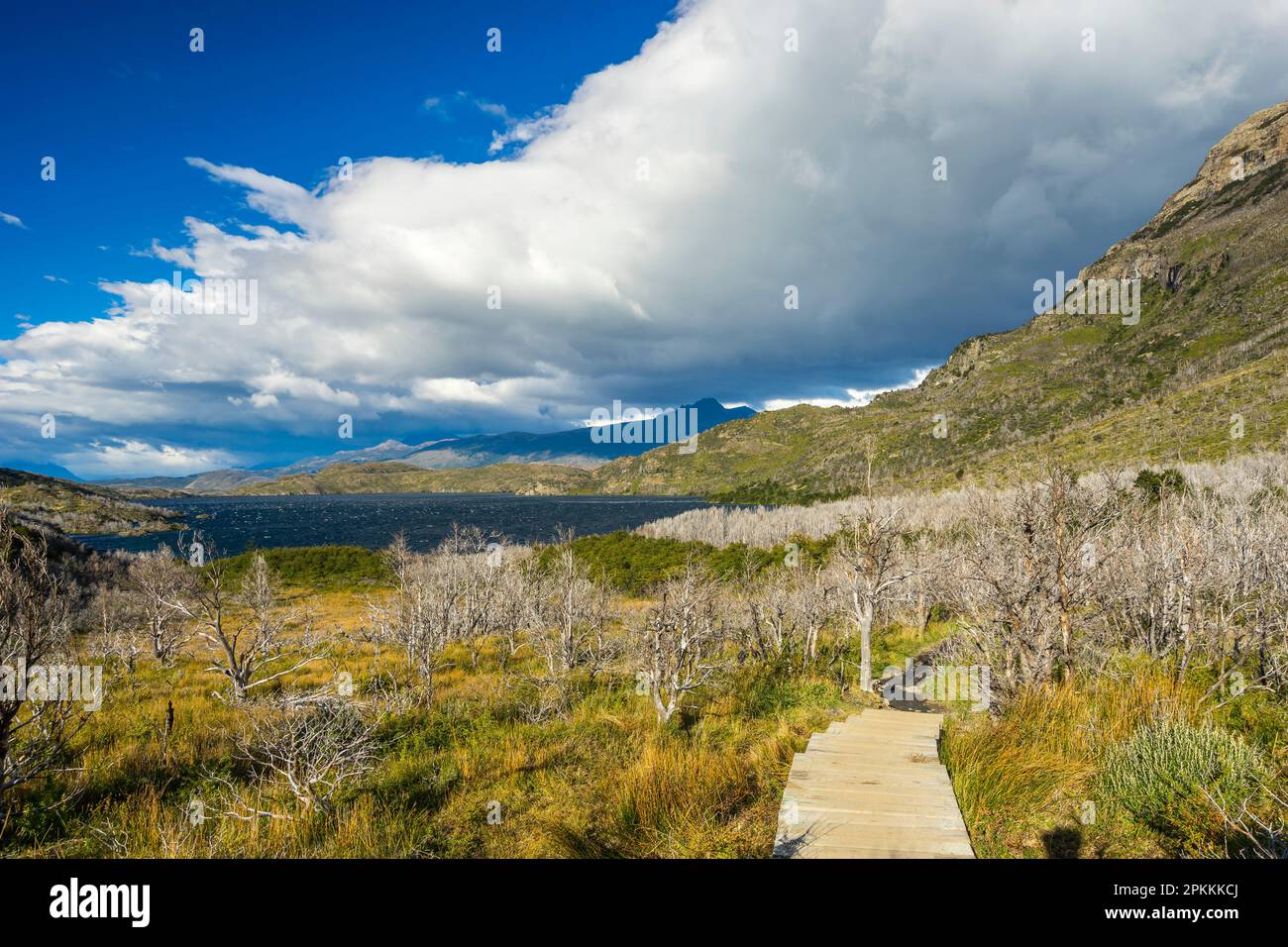 Refugio paine grande torres del paine hi-res stock photography and ...