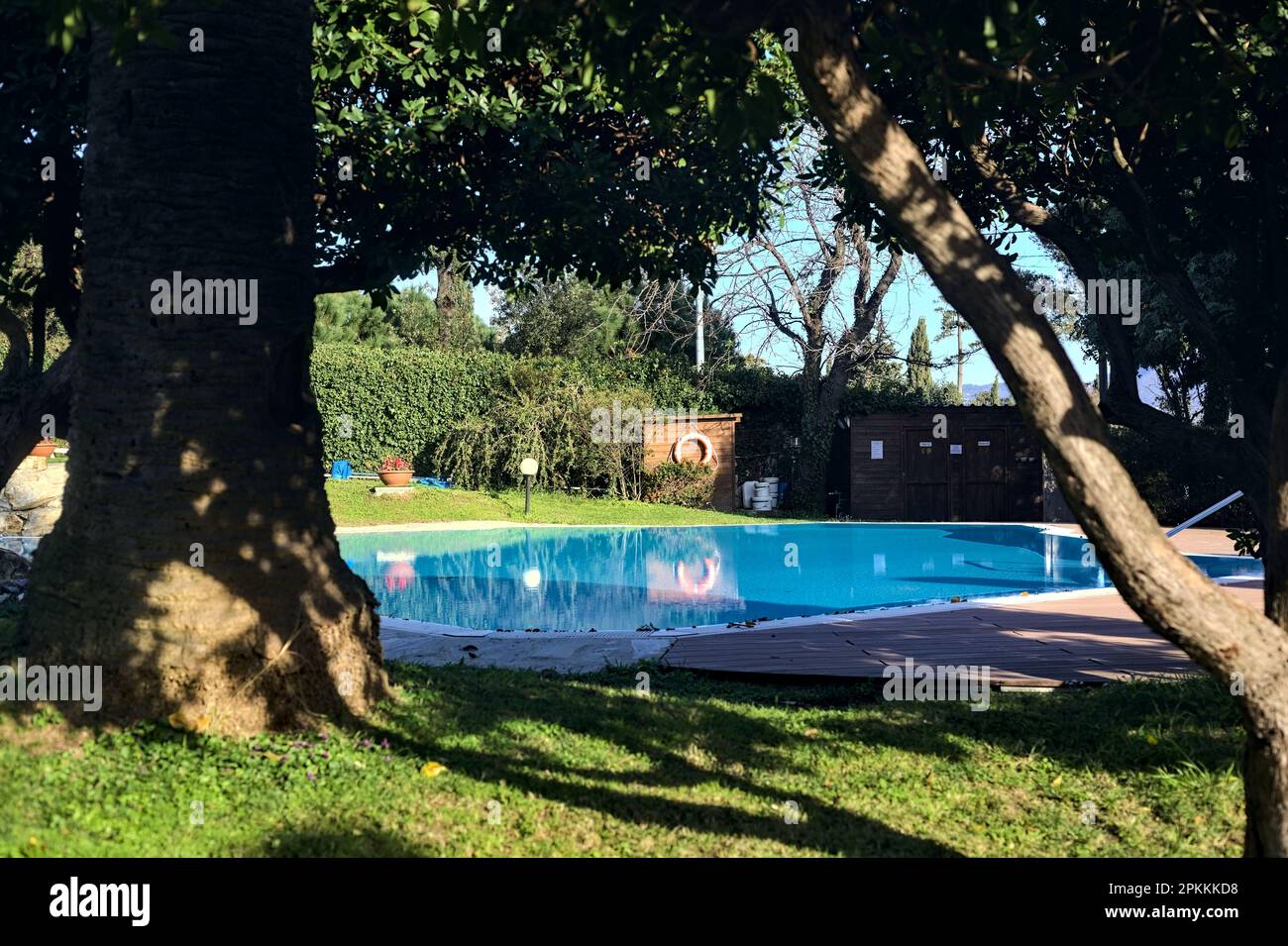 Swimming pool surrounded by trees in a park by the seaside at sunset ...