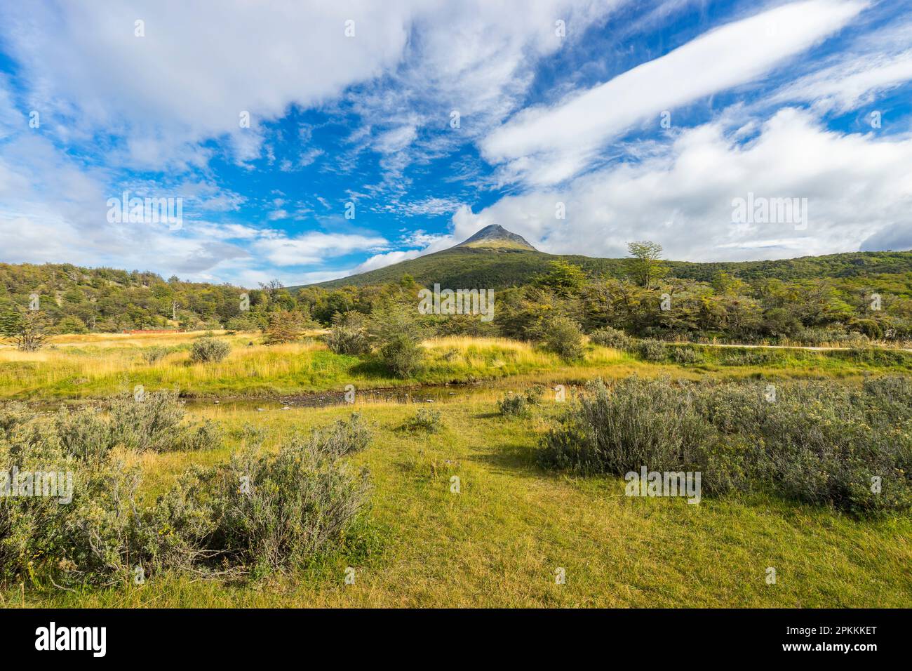 Cerro Condor, Tierra del Fuego National Park, Patagonia, Argentina ...