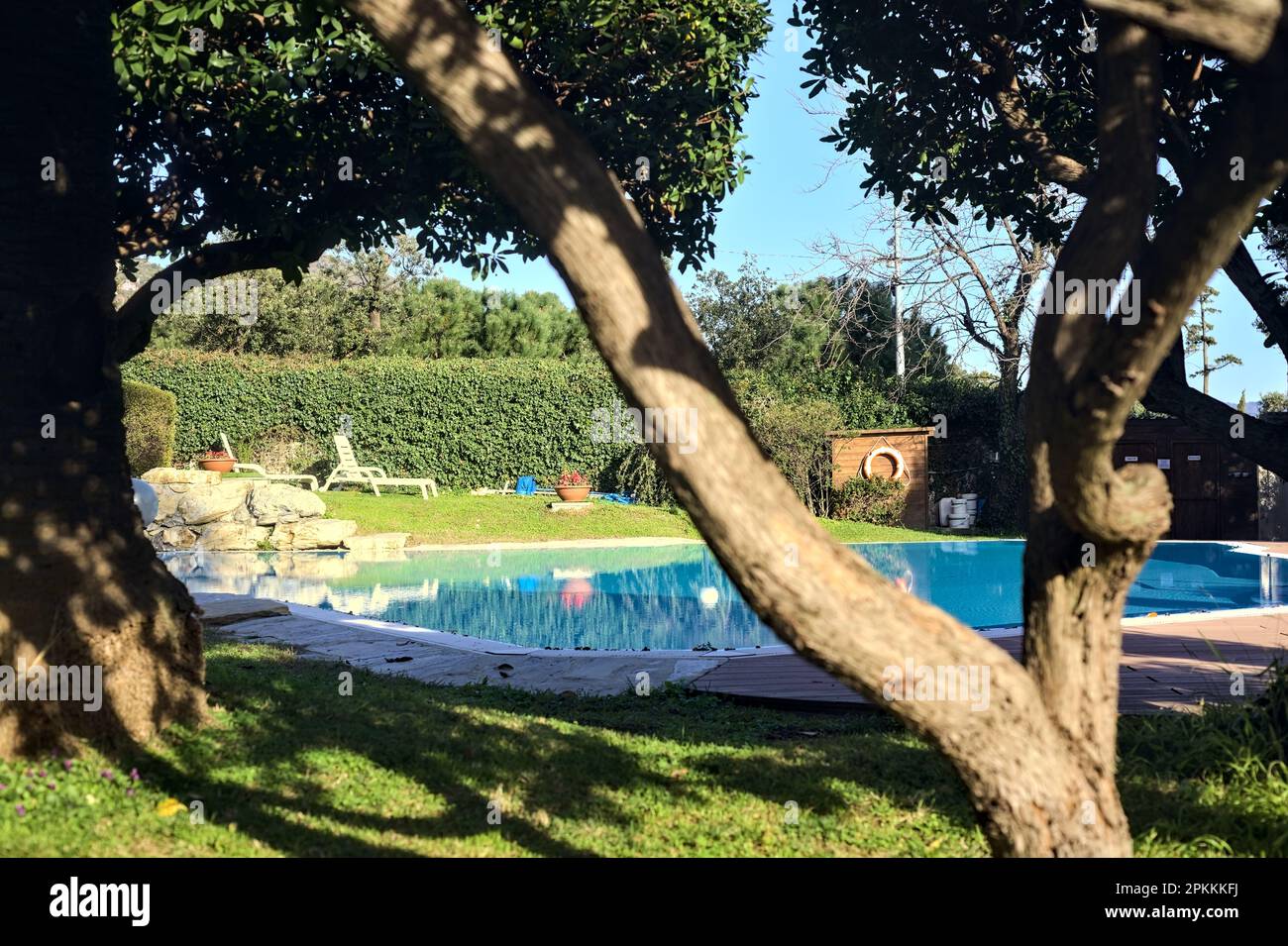 Swimming pool surrounded by trees in a park by the seaside at sunset ...