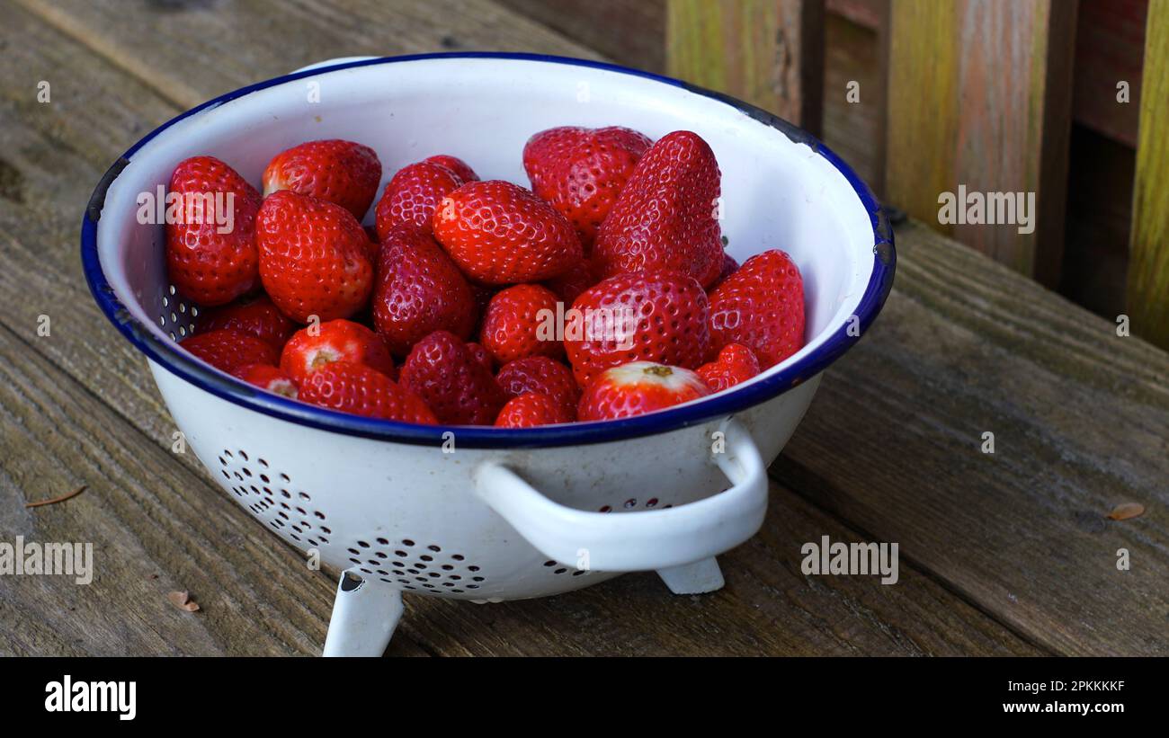 Fresh delicious strawberries in an old sieve Stock Photo - Alamy