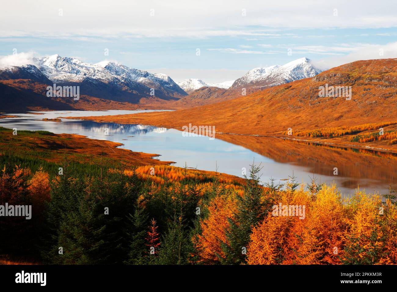 Loch Loyne, Western Highlands, Scotland, United Kingdom, Europe Stock ...