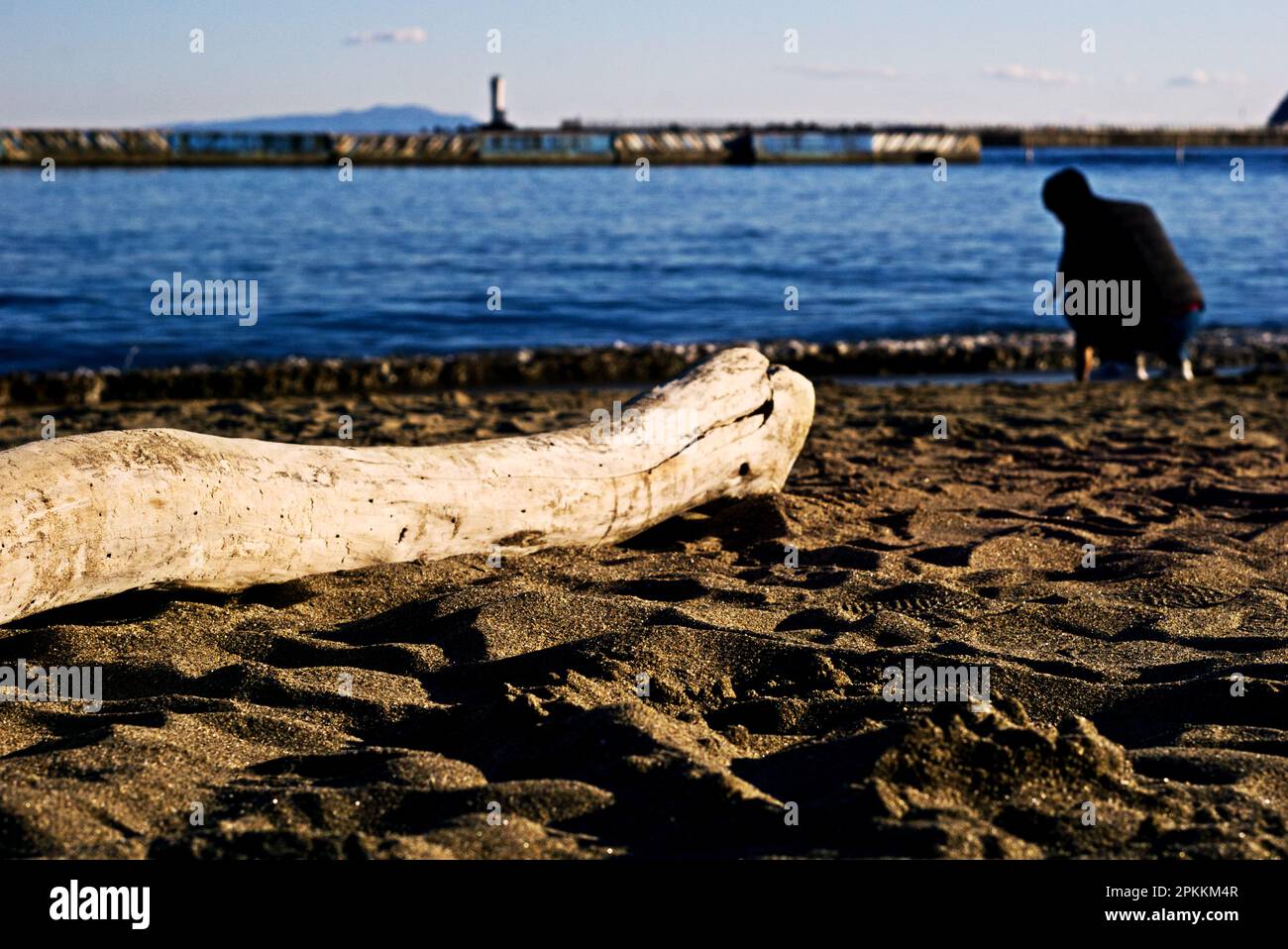 Father and son playing at Atami sun beach Stock Photo - Alamy