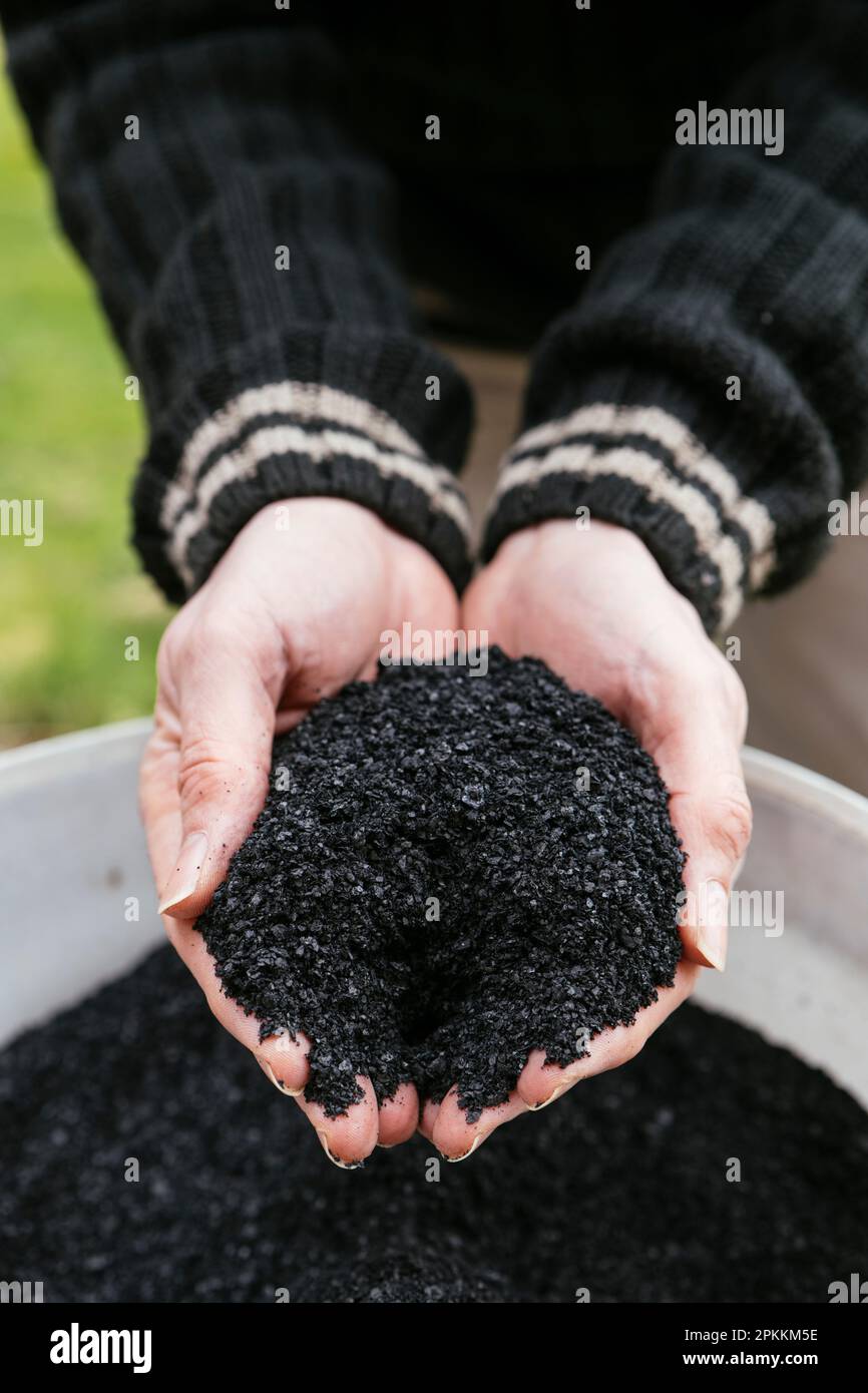 Man with a handful of biochar pellets made from herbs using pyrolysis ...