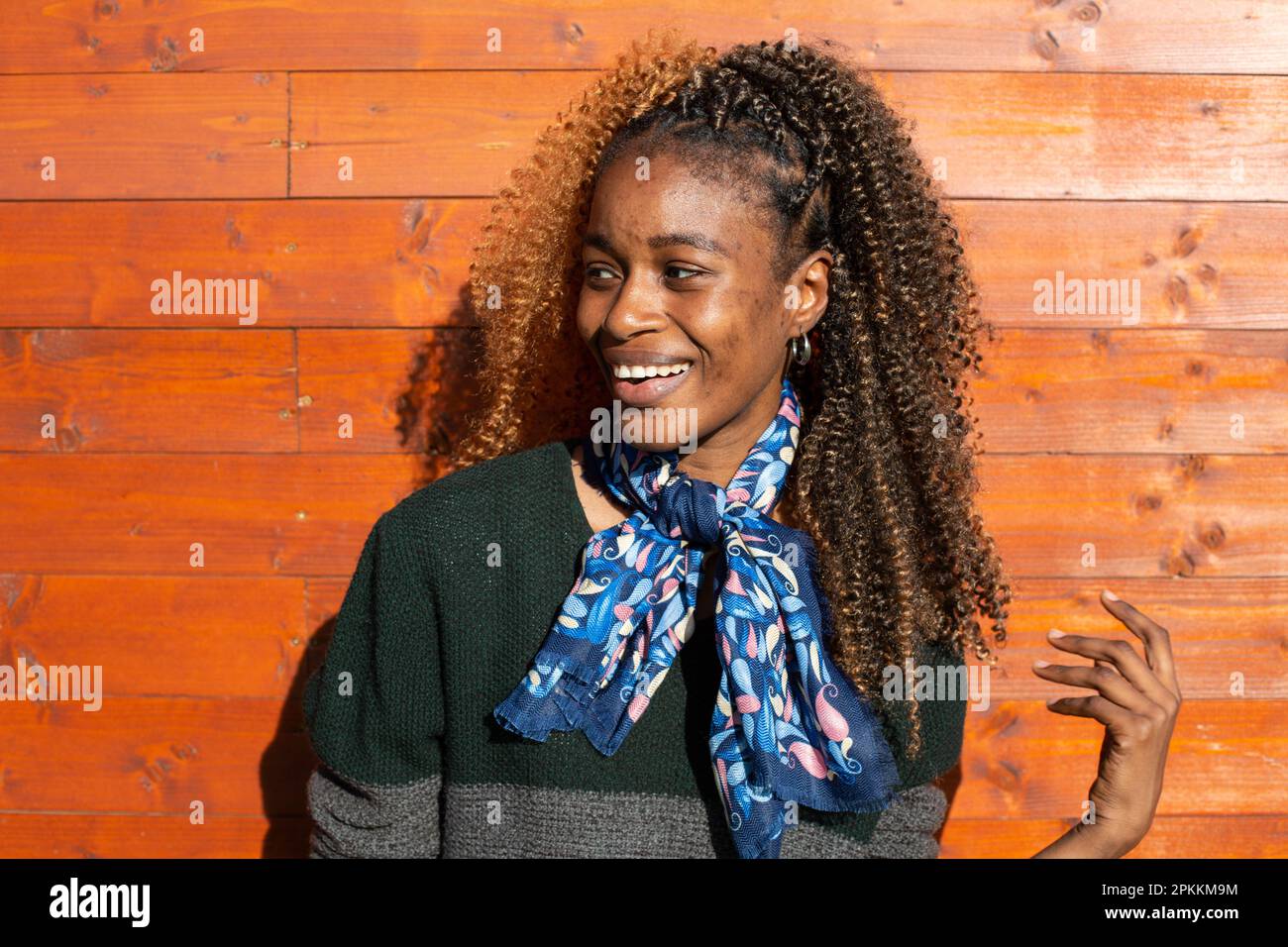 African beautiful fashion model hi-res stock photography and images - Alamy