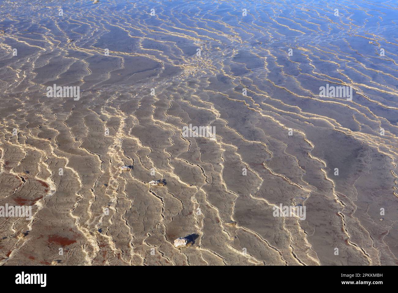 Mud, El Tatio Geyser Field, Atacama Desert Plateau, Chile, South ...