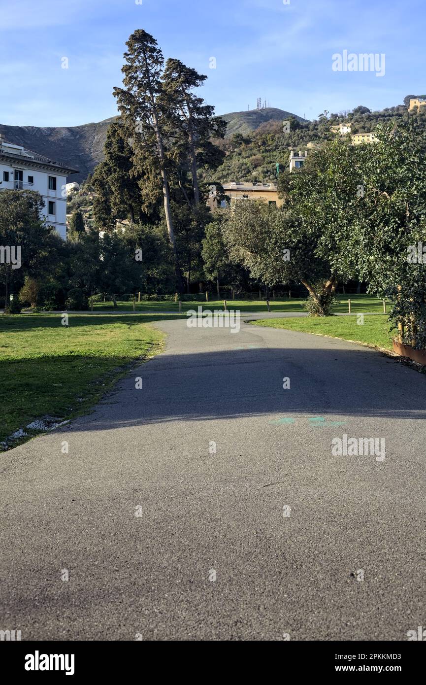Paved path bordered by trees and hedges at sunset Stock Photo - Alamy