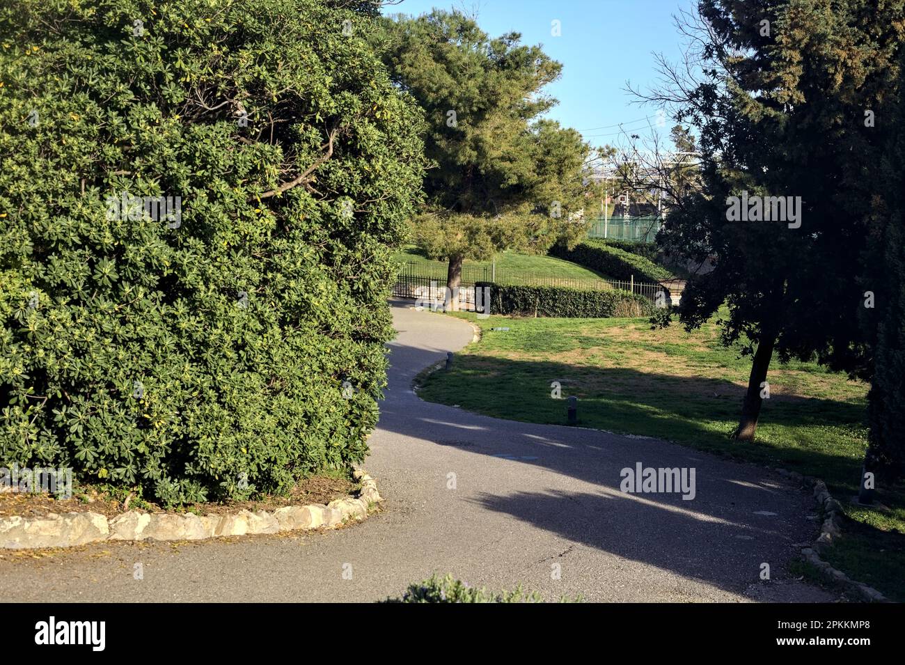 Paved path bordered by trees and hedges at sunset Stock Photo - Alamy