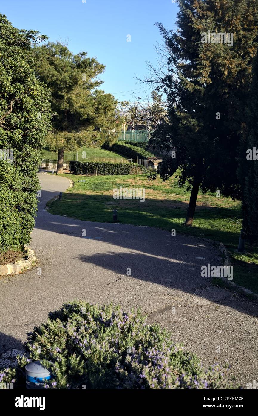 Paved path bordered by trees and hedges at sunset Stock Photo - Alamy