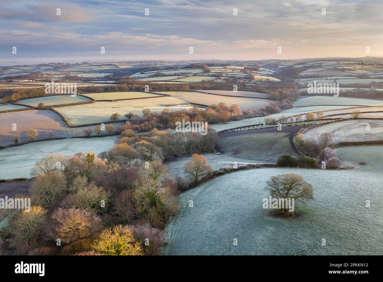 Rolling countryside at dawn on a frosty winter morning, Devon, England ...