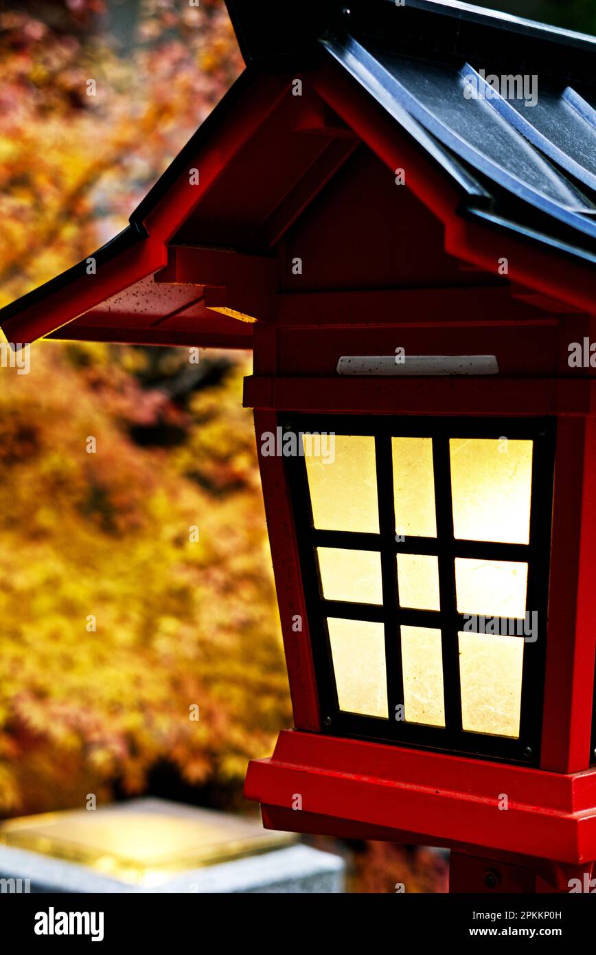 Bulb in october background hi-res stock photography and images - Alamy