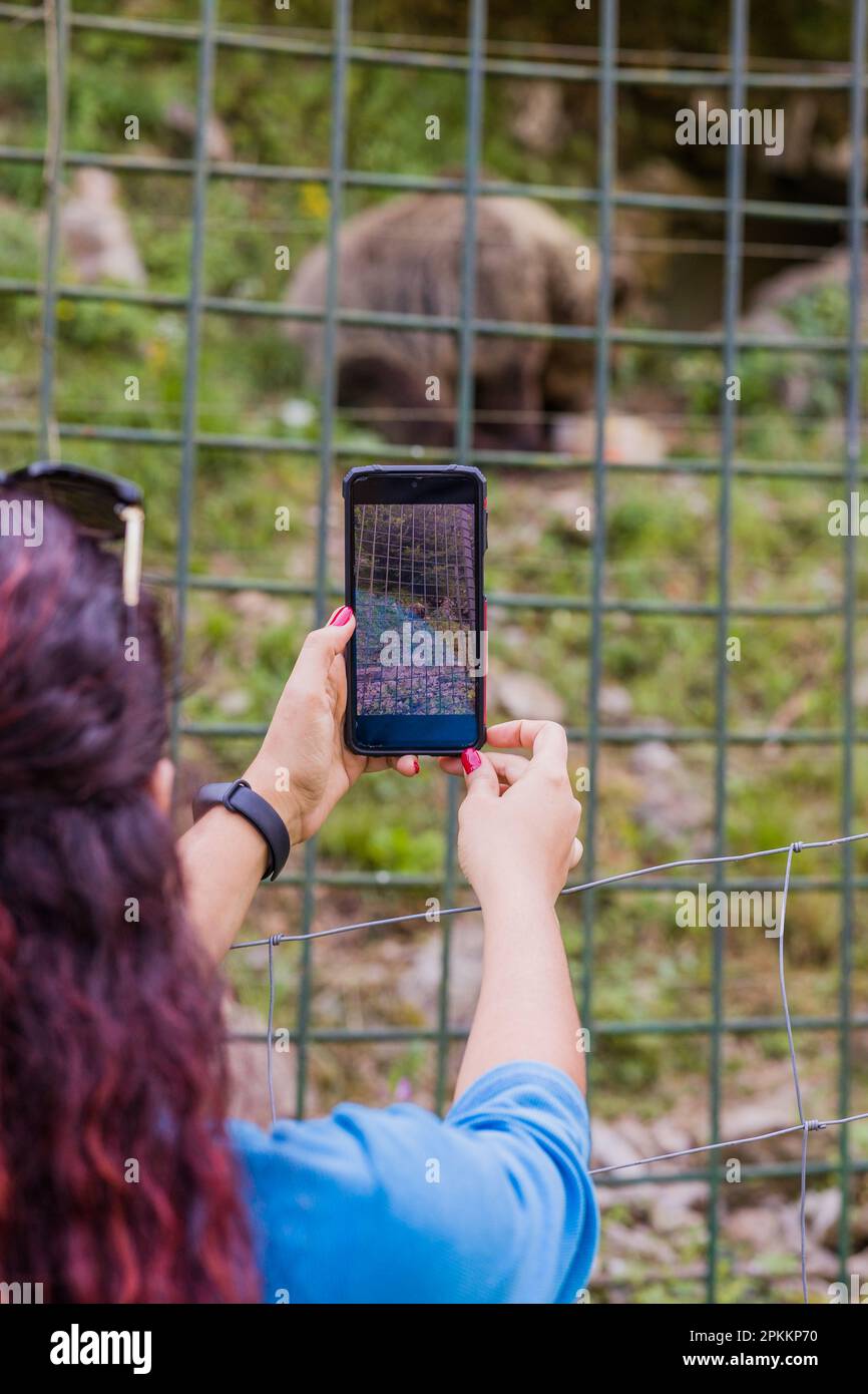 Brown bear in senda del oso Asturias national park zoo. Latin mid woman ...