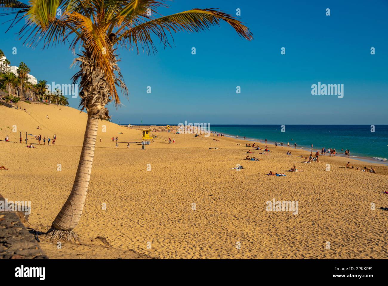 View of Playa del Matorral beach, Morro Jable, Fuerteventura, Canary ...