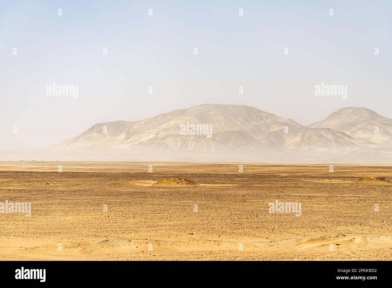 A view of the rocky outcrops / basalt mounds in the Black Desert in ...