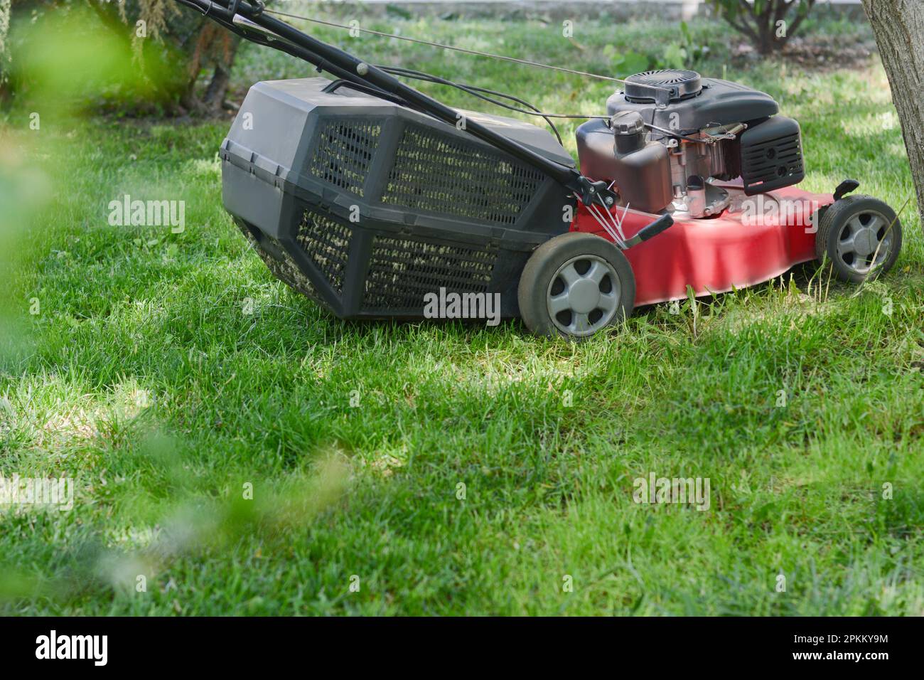 Modern garden lawn mower cutting green grass outdoors Stock Photo - Alamy