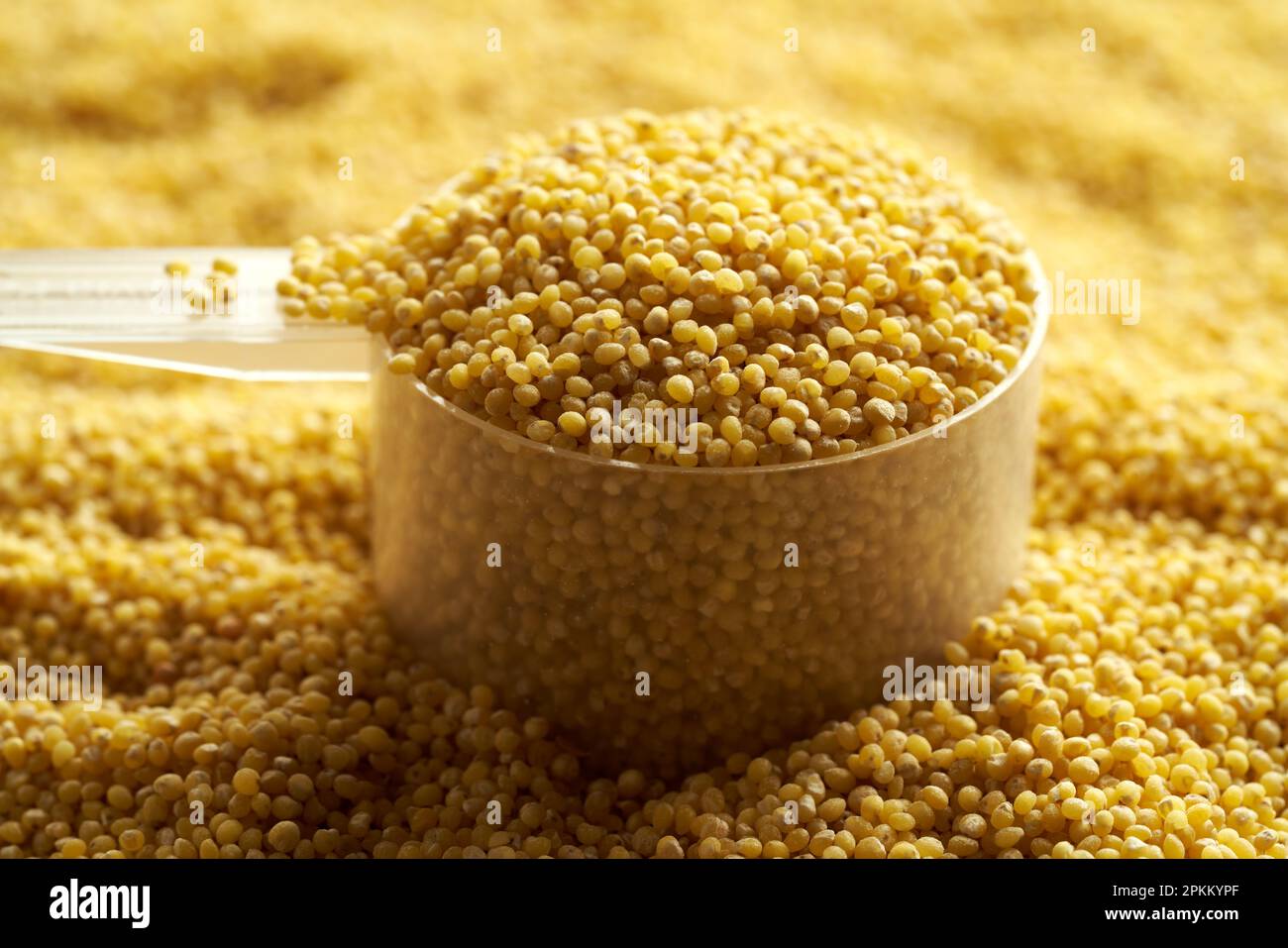 Peeled millet in a plastic measuring cup Stock Photo - Alamy