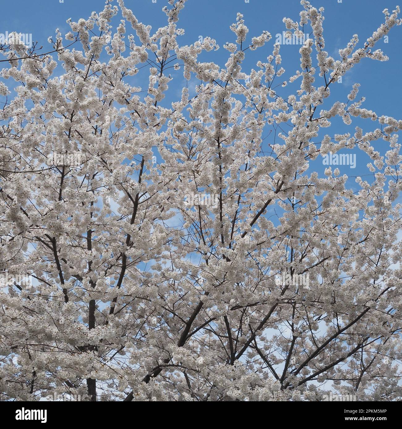The change of colors in autumn are beautiful Stock Photo - Alamy