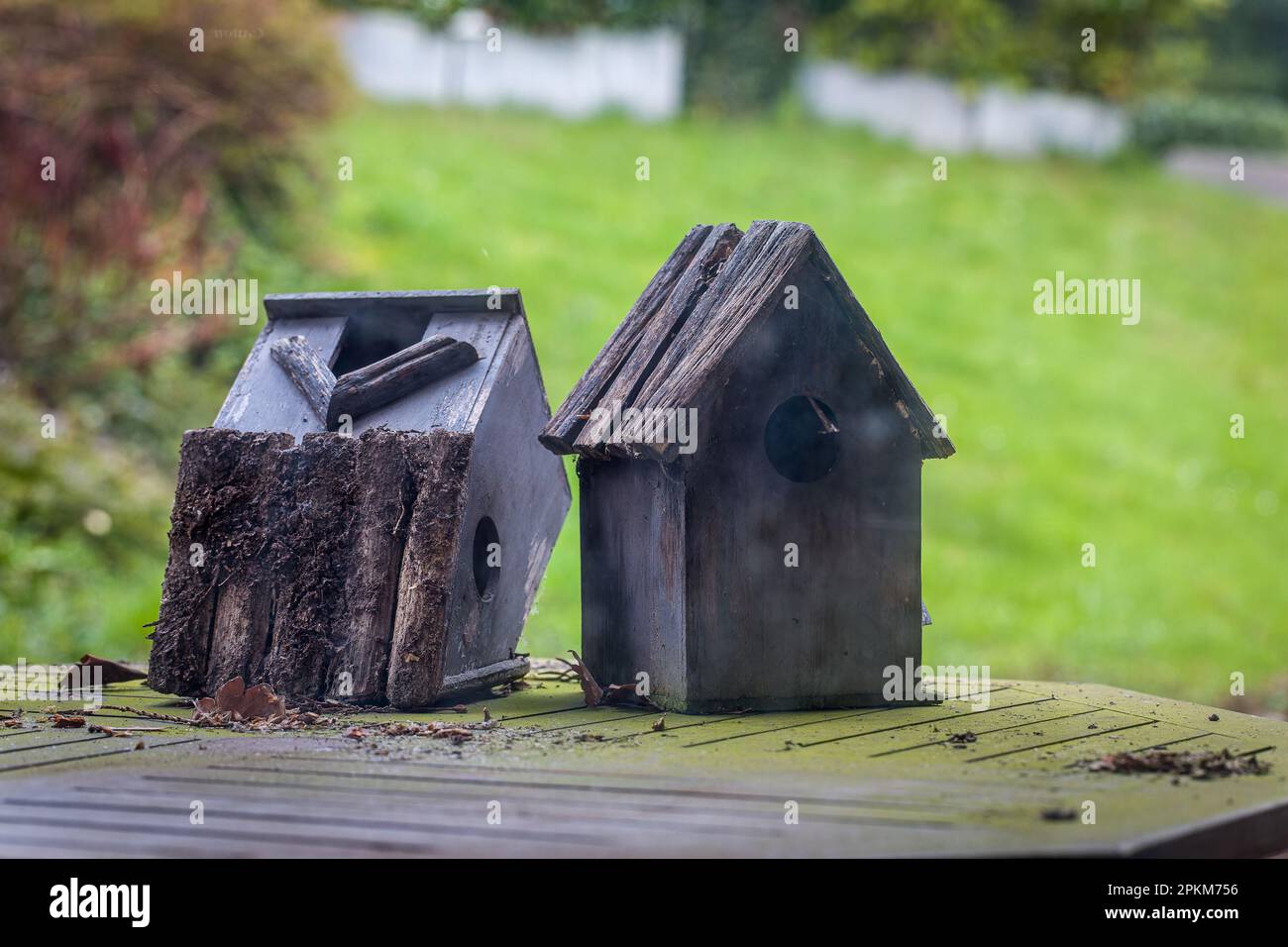 Withered house hi-res stock photography and images - Alamy