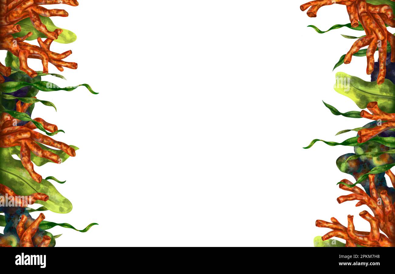 Square marine frame made of tropical fish, corals, algae, stones ...