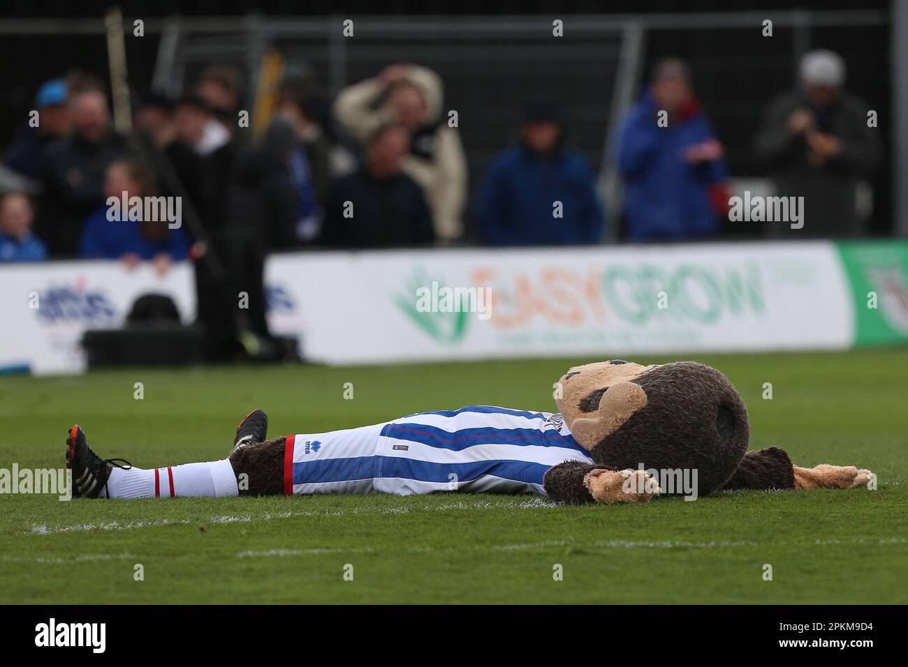 Hartlepool united mascot hi-res stock photography and images - Alamy