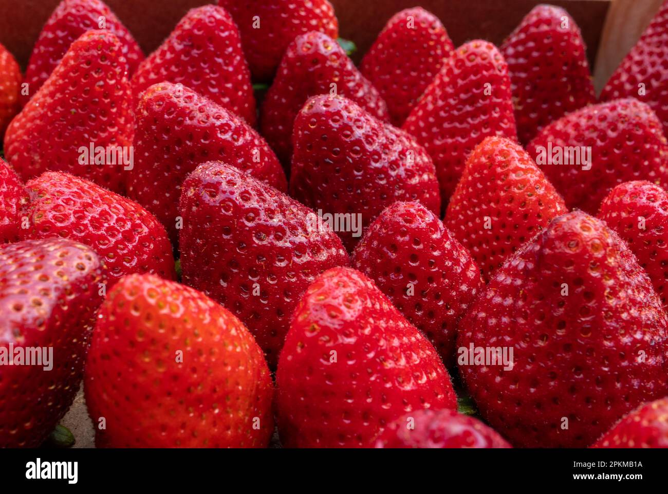 Fotografía macro de fresas rojas frescas Stock Photo - Alamy