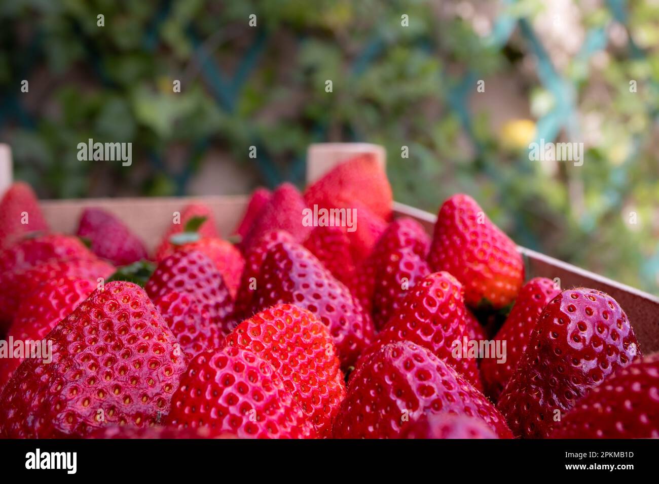 Healthy lifestyle macro hi-res stock photography and images - Alamy