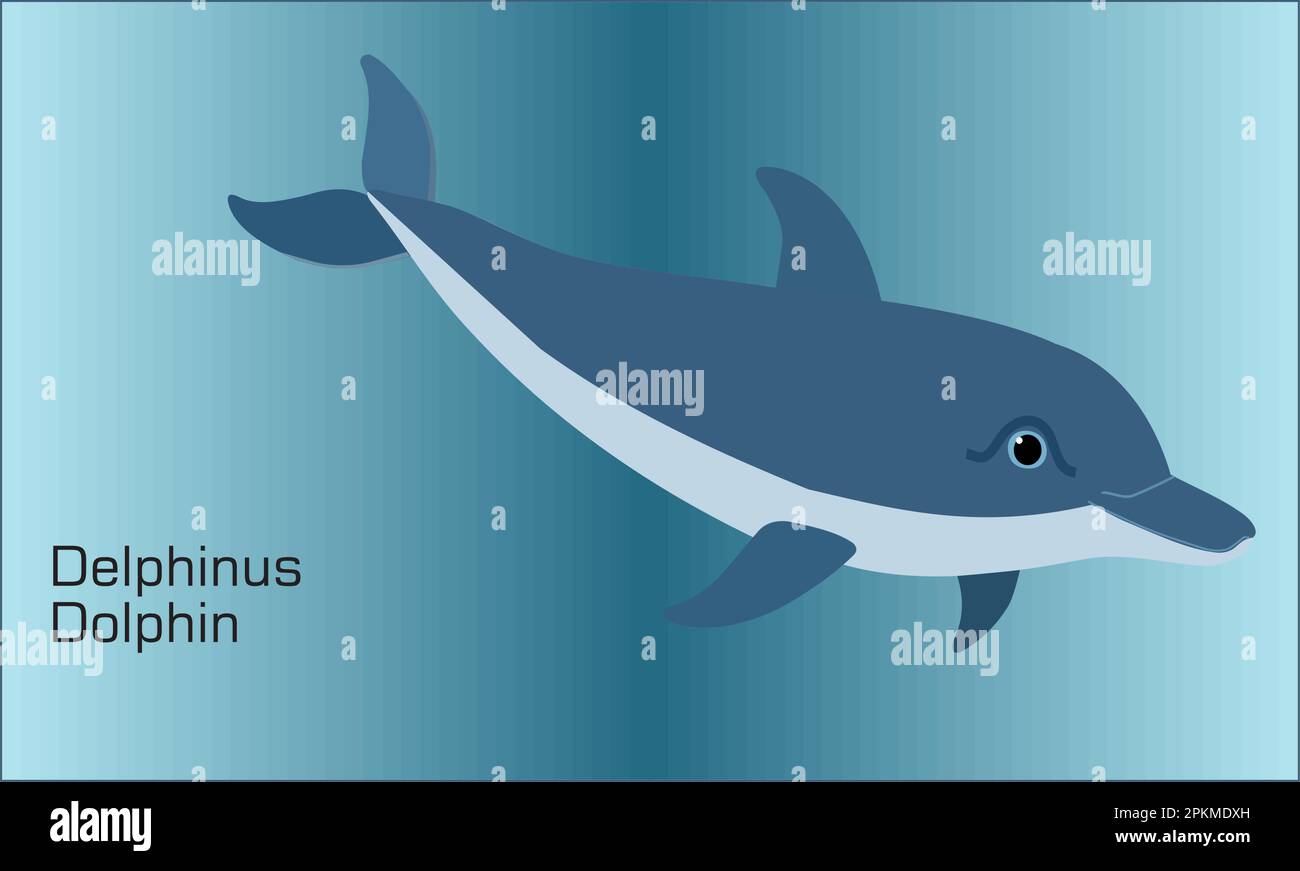 Abstract background illustration of dolphin - Illustration, Save ...