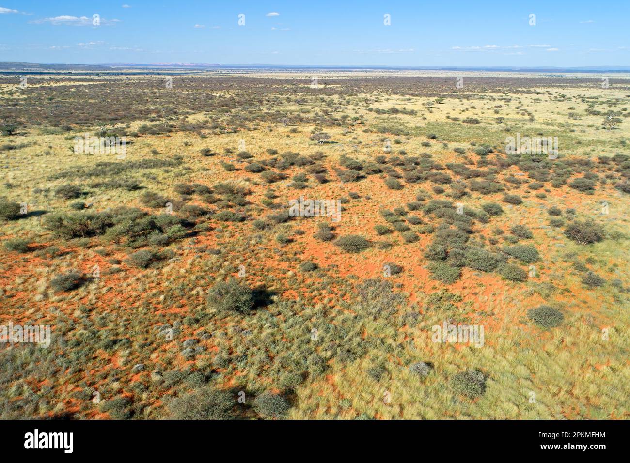 Aerial view of the African savannah with scattered trees and grasses on ...