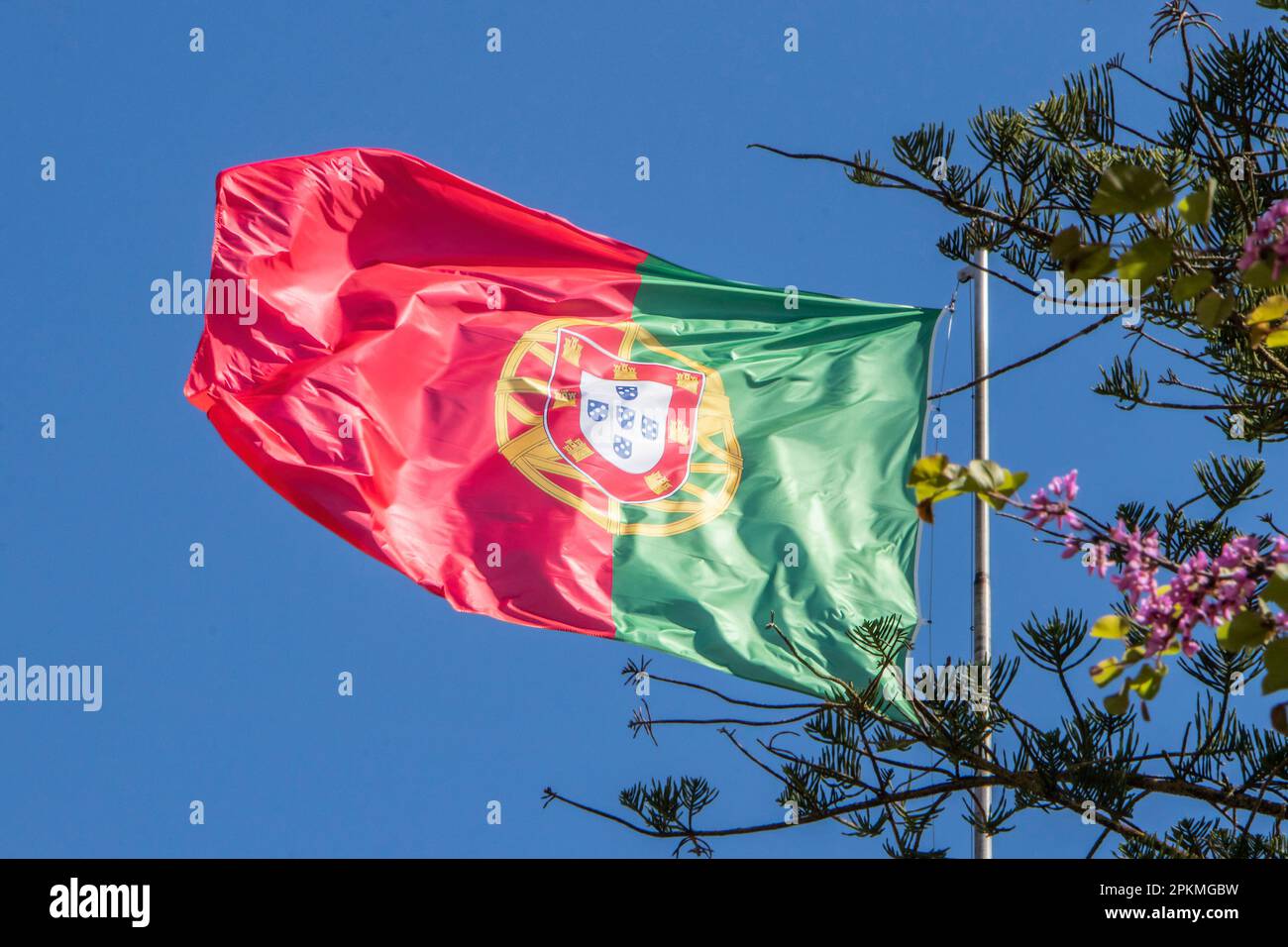 The Flag of Portugal is the national flag of the Portuguese Republic ...