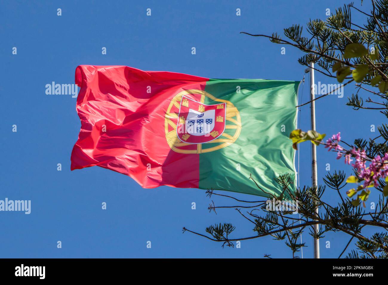 The Flag of Portugal is the national flag of the Portuguese Republic ...
