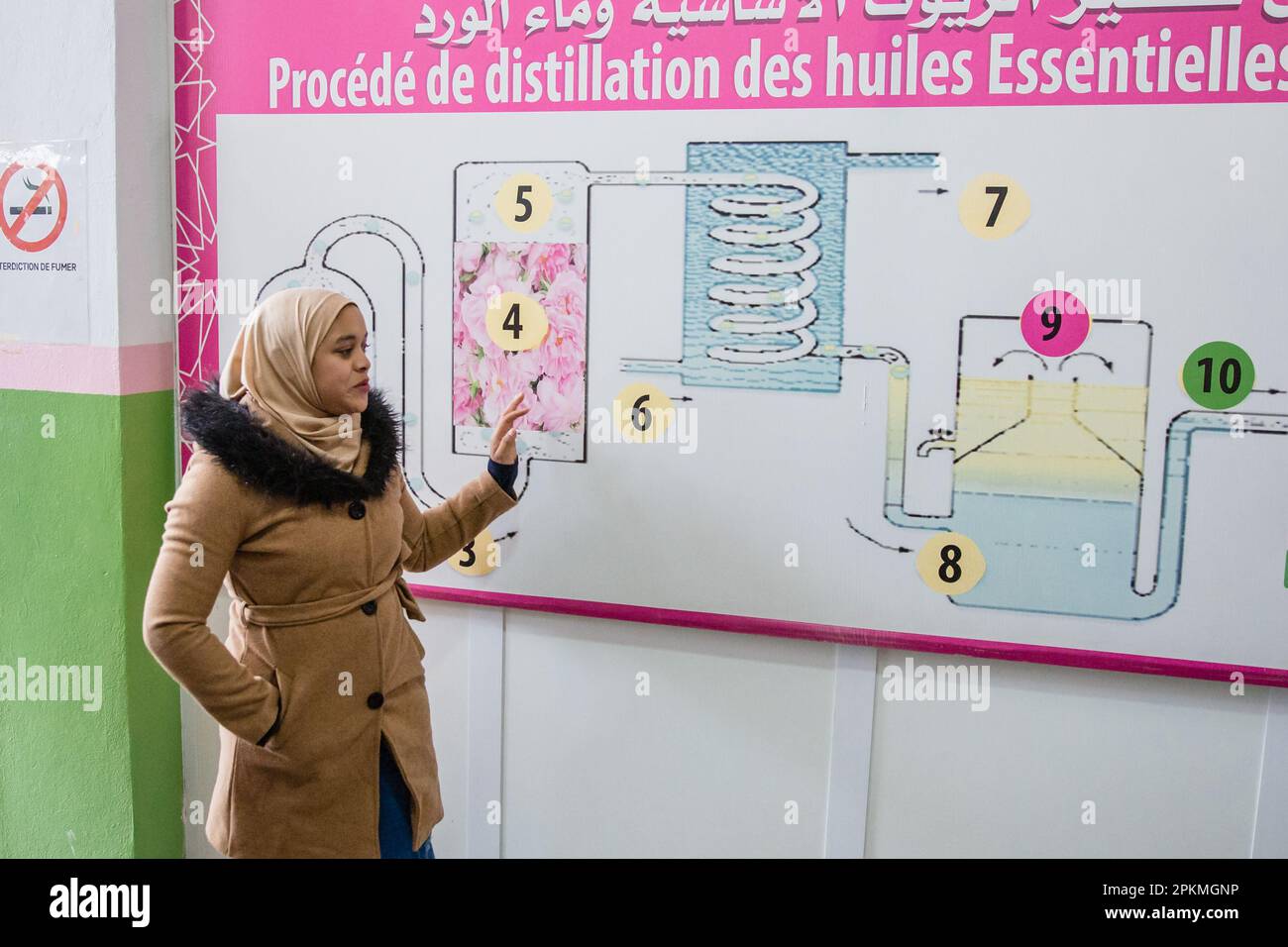 A moroccan woman explains the process of making essential oils at a ...