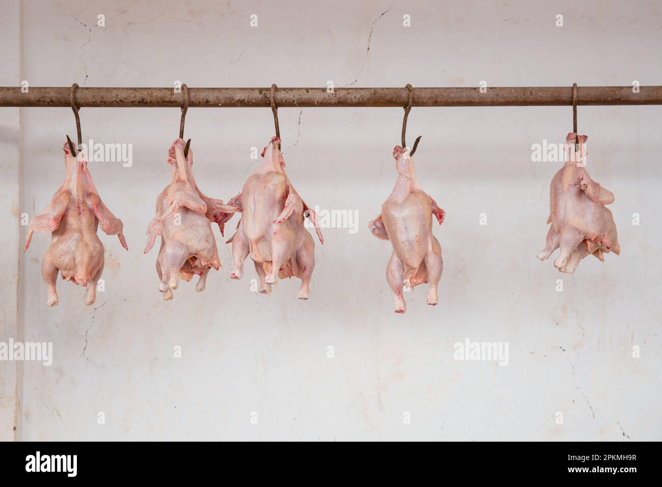 Fresh chickens hang in a row at a berber butcher market Stock Photo - Alamy