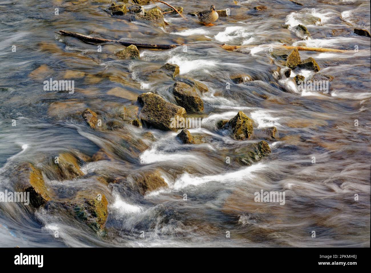 Water rushing over river rocks hi-res stock photography and images - Alamy
