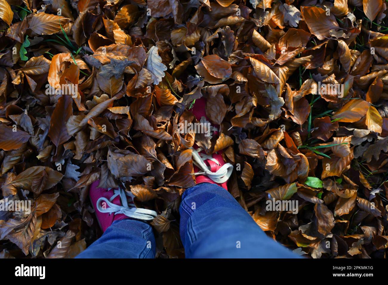 Autum girl feet hi-res stock photography and images - Alamy