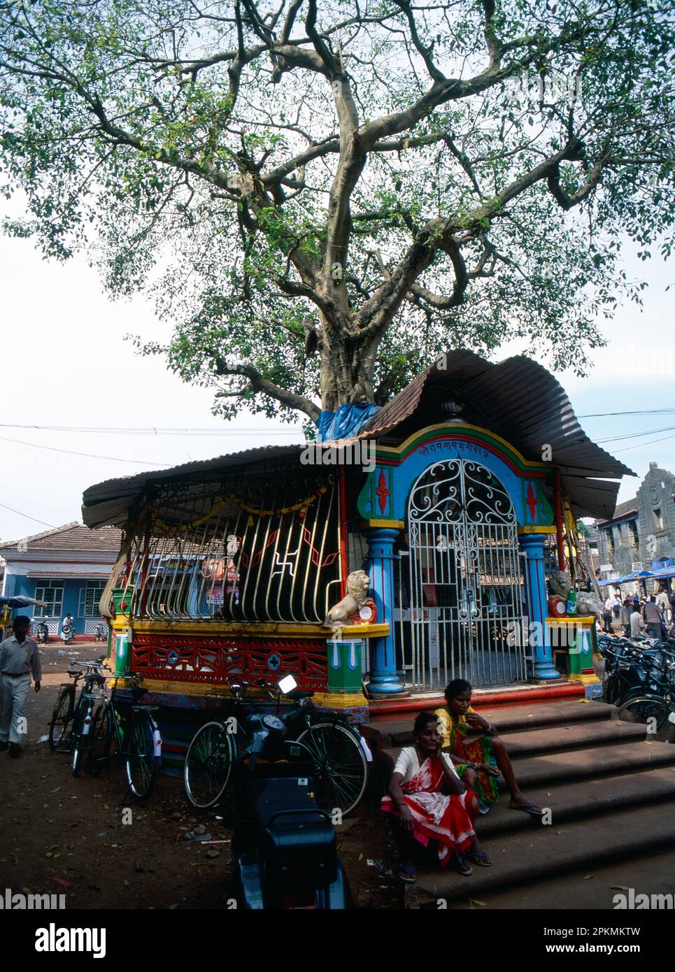 A small Buddhist temple under a bodhi tree in Goa, India Stock Photo ...