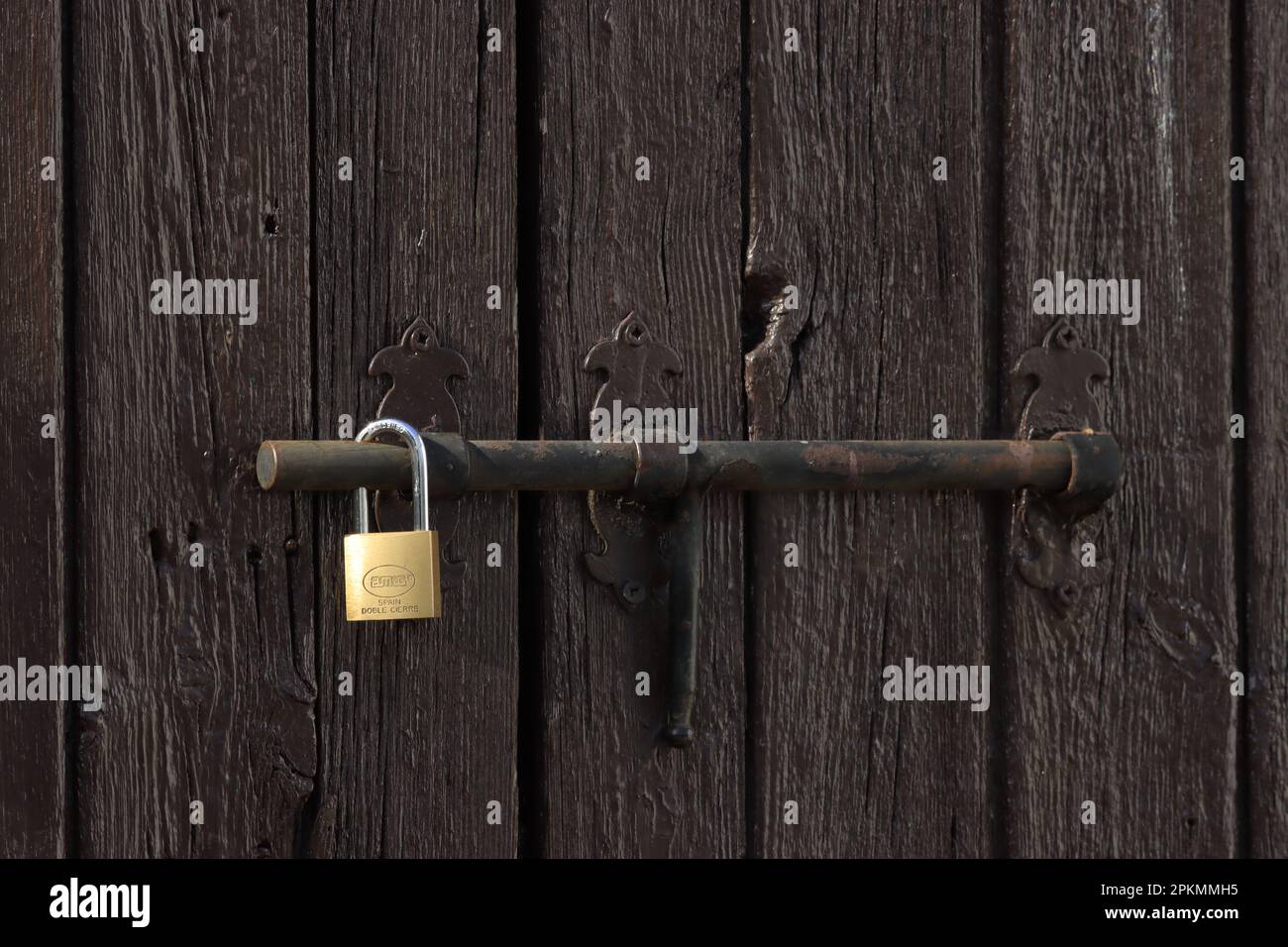 árbol de pato hi-res stock photography and images - Alamy