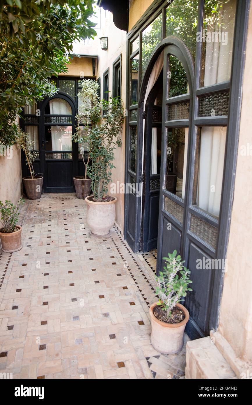 Beautiful entryway with plants in Marrakech Morocco Stock Photo - Alamy
