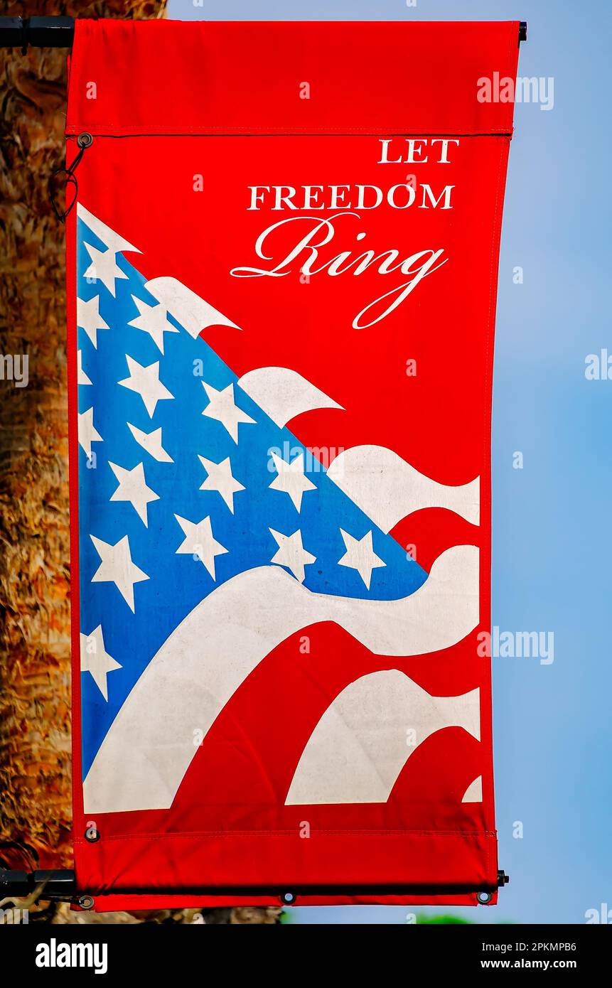 A patriotic banner hangs from a palm tree, April 2, 2023, in Gulfport ...